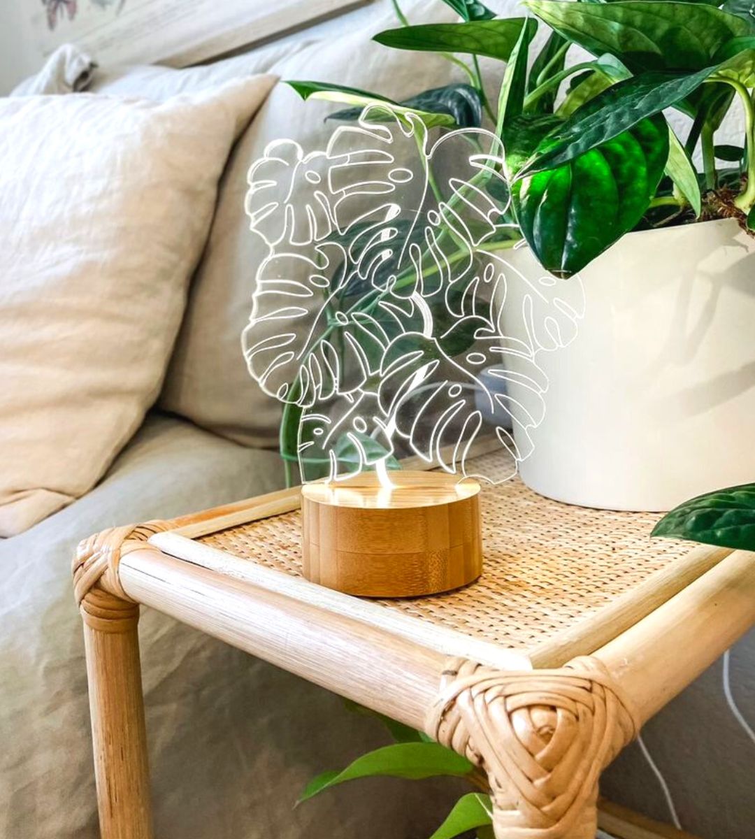 Monstera Plant Lamp – blume.homeware